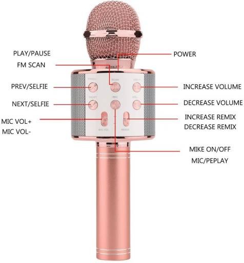 Wireless Bluetooth Portable Rechargeable HIFI Mic Karaoke | onide.lk